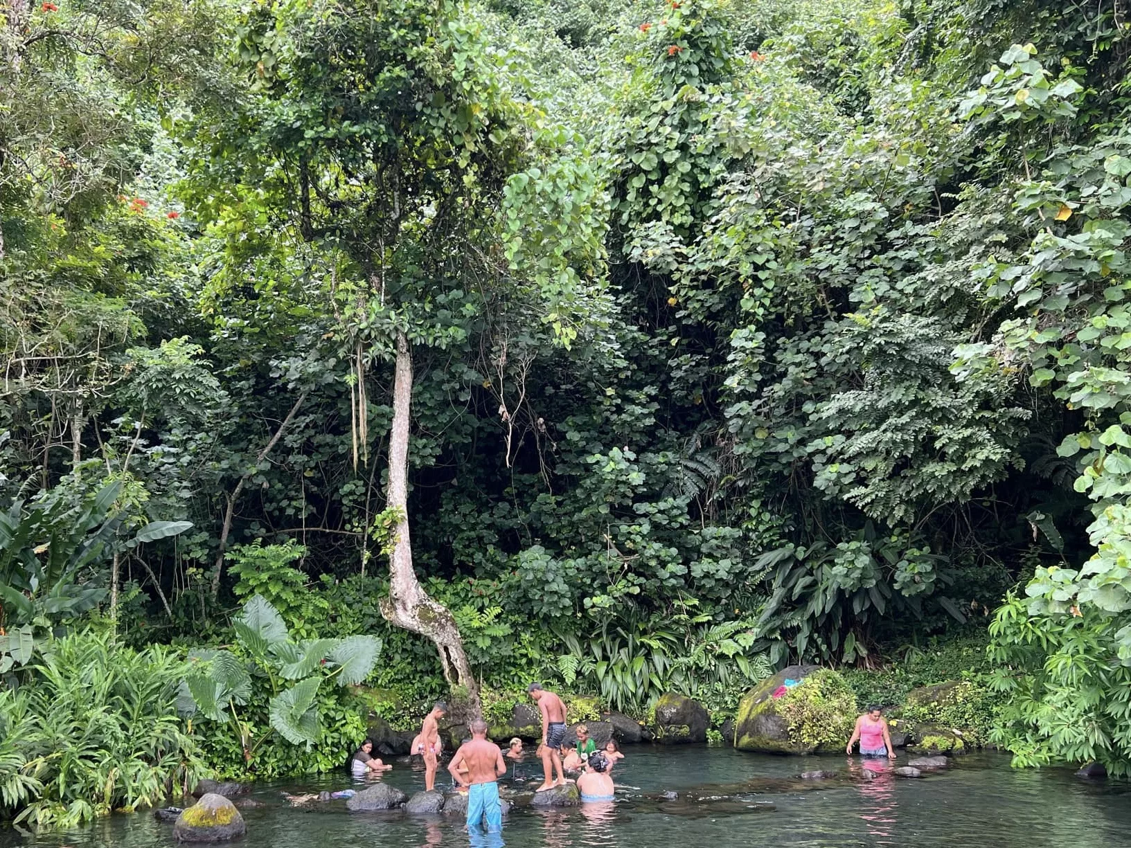 Plongée dans la culture polynésienne : la source Vaima et les légendes ...